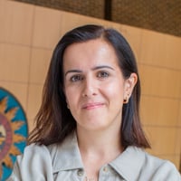 Maestría en Gobierno y Relaciones Internacionales